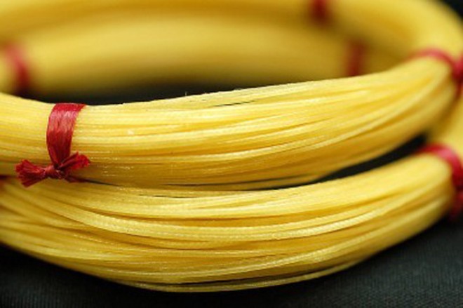 SILK LINE | つるや釣具店